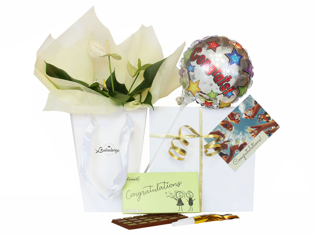 Congratulations Wishes Gift with Flowers
